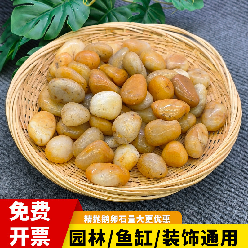 黄色鹅卵石铺路小石头高抛铺地石装饰园林阳台石头造景庭院