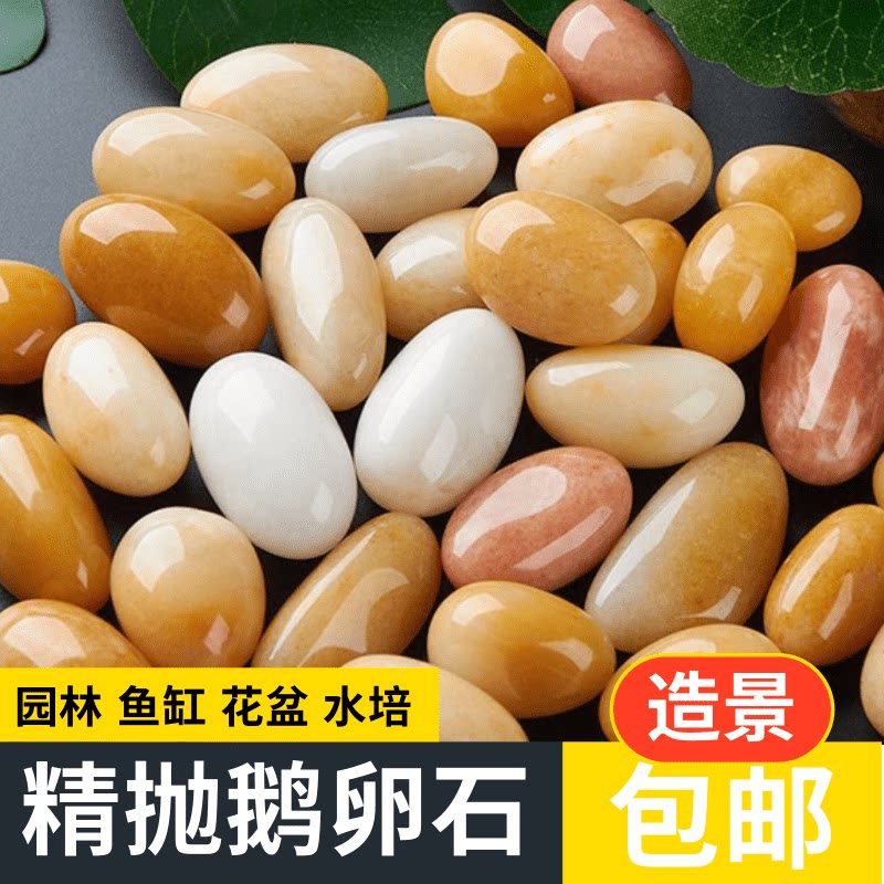 精抛鹅卵石雨花石花盆装饰阳台造景原石园林石头黄色鹅卵石