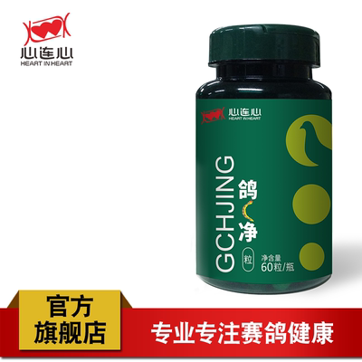 心连心鸽C净鸟鹦鹉鸽子