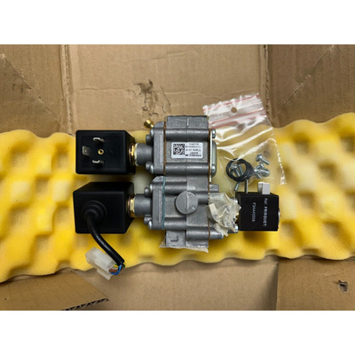 FRISQUET F3AA41454 BLOC GAZ BIC 01.17 - 09.06