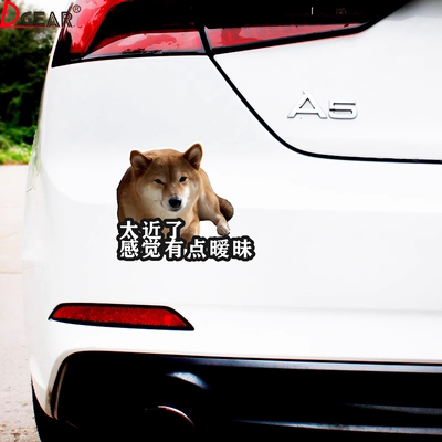 个性创意保持车距搞怪柴犬太近了