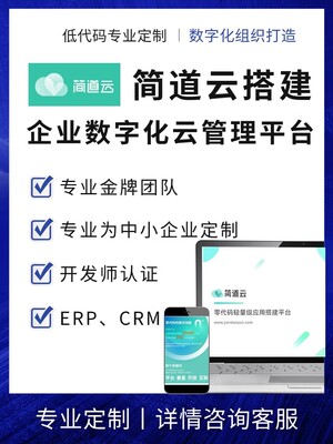 简道云零低代码应用开发FineReport报表FineBI数据分析Saas工具