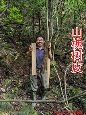 江西农家山货野生山槐树皮