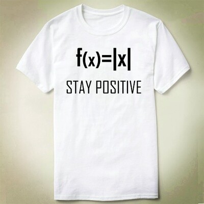mathematics math数学fx=x Stay Positive  Funny  T-Shirt T恤