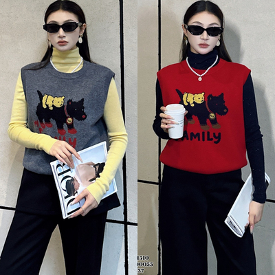 DI-SUI欧韩站2025秋冬新款针织衫