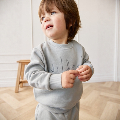 A2632有机棉 两色 男童新款春秋舒适运动休闲款圆领卫衣上装