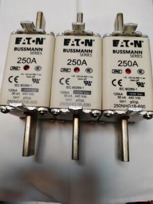巴斯曼快速熔断器250NHG1B-690，250A 690V(议价商品）