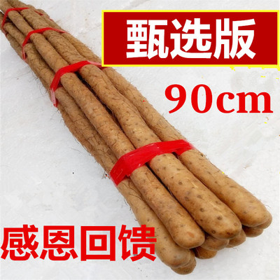 甄选版5斤装河南焦作铁棍山药