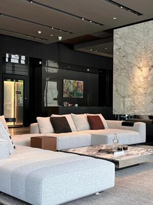 MINOTTI  Goodman沙发 自由魅力