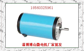 70ZYT59   7500-9000r/min 148w 110v 博山微电机厂家直销