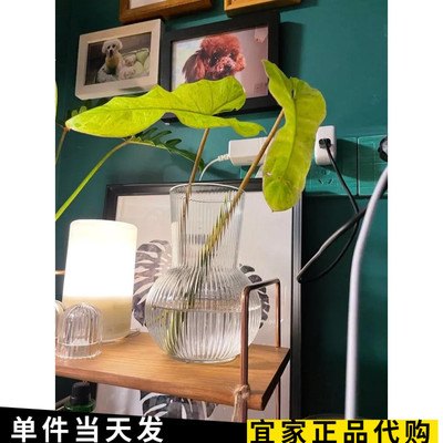 ikea宜家普德拉格花瓶厘米家用