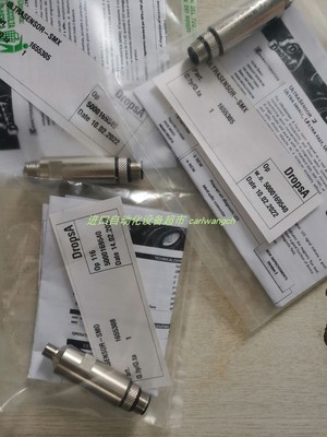 10147400989002油泵DROPSA