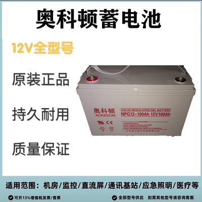 奥科顿 AKEDN蓄电池12VUPS电源专用NP12-100铅酸蓄电池120AH100AH
