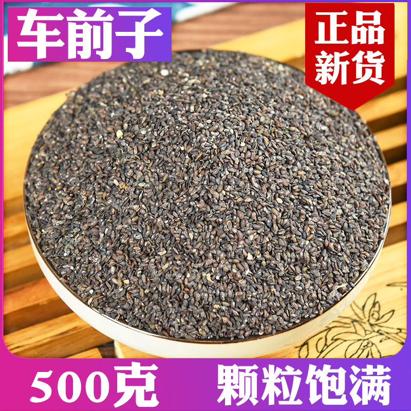 正品车前子中药500克车前子茶车前草籽车前子籽泡水新货无硫中药