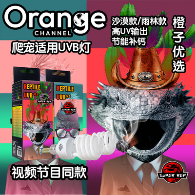 SuperRep爬虫UVB节能灯