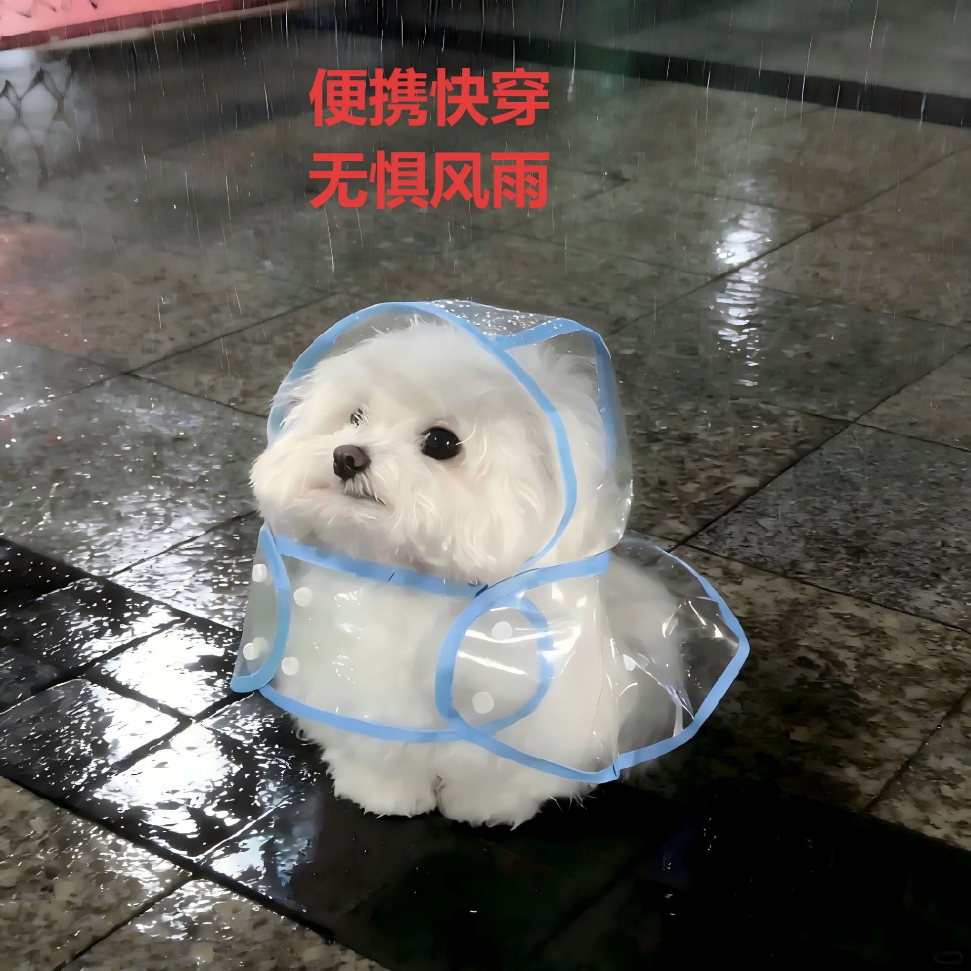 狗狗全包防水雨披透明可视宠物雨衣法斗泰迪比熊小中大型犬服装