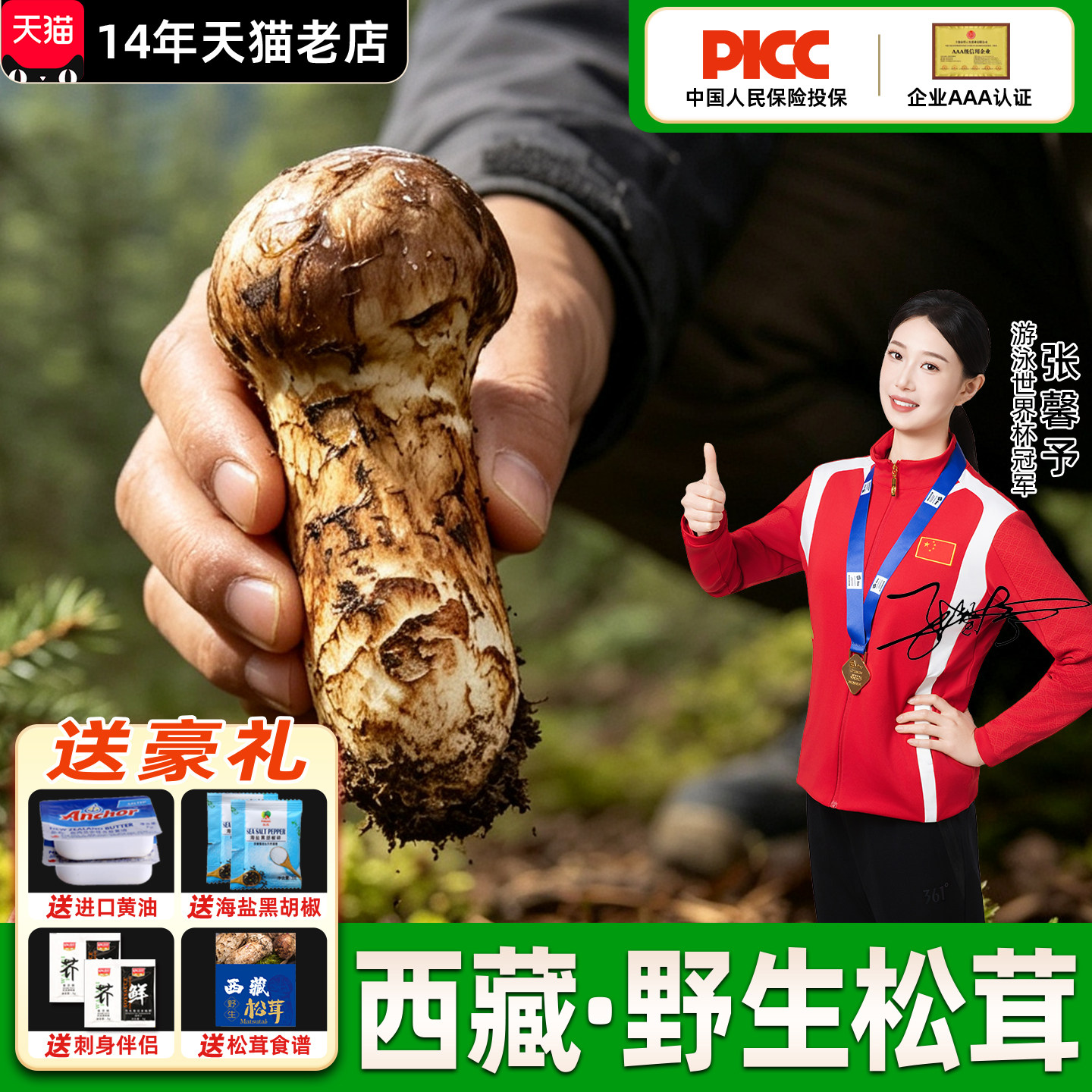 西藏新鲜松茸野生林芝松茸菌菇5A极上极8~10cm未开伞非云南鲜松茸