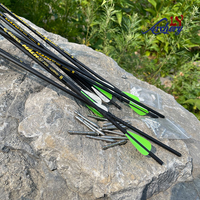 飞比克射箭纯碳箭MACH3碳素箭支