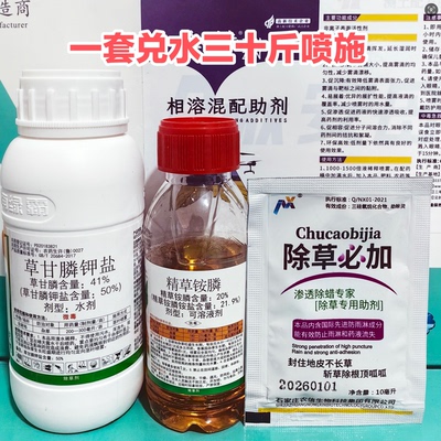 荒地空地果园树下除杂草灌木藤曼