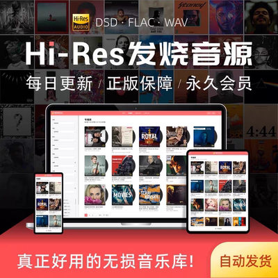 大法精选Hires音乐会员开通DSD无损音源专辑HIFI母带FLAC WAV