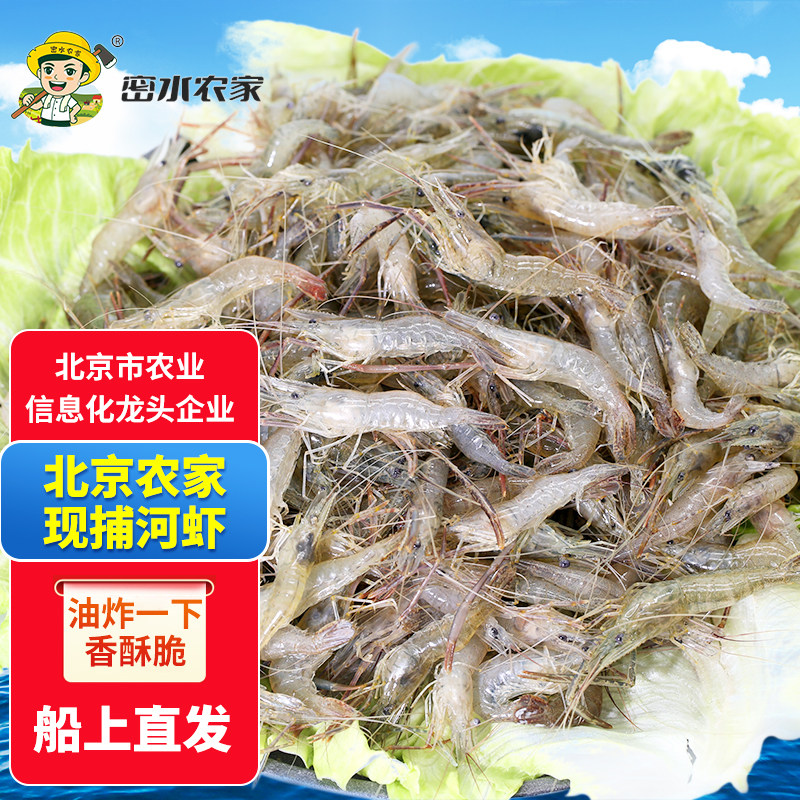 密水农家水库河虾 当日捕捞水库虾 鲜活水产 小白虾600g