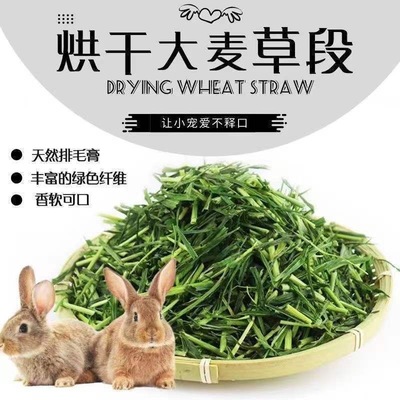 烘干麦草新鲜牧草龙猫荷兰猪食用饲料天竺鼠豚鼠仓鼠干草宠物兔子