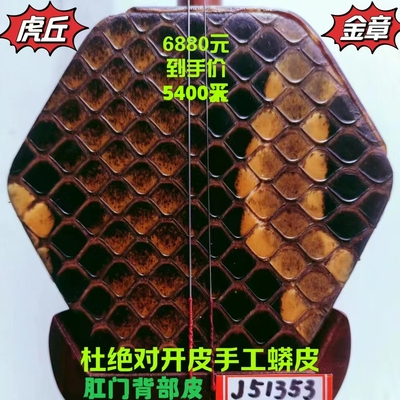 虎丘5135金章特级小叶紫檀二胡肛门背部皮考十级专用二胡宋飞鉴定