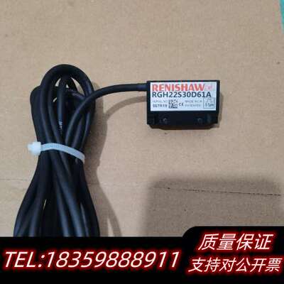 出雷尼绍读数头 RGH22S30D61A，英国，0.1μ询价