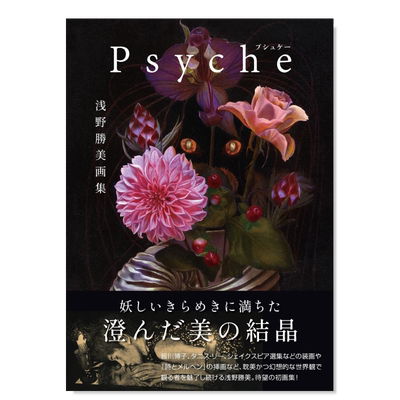 浅野胜美插画集勝Psyche日文