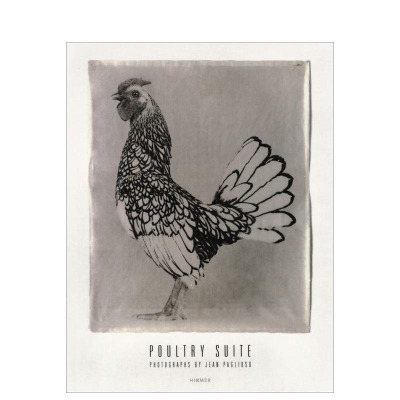【现货】珍·帕格鲁索：家禽 Jean Pagliuso：Poultry Suite 原版英文摄影作品集图书