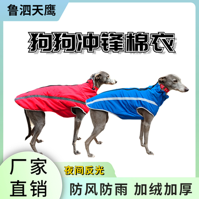 加绒加厚狗狗冲锋衣狗棉服惠比特猎犬细狗衣服狗狗衣服秋冬款户外