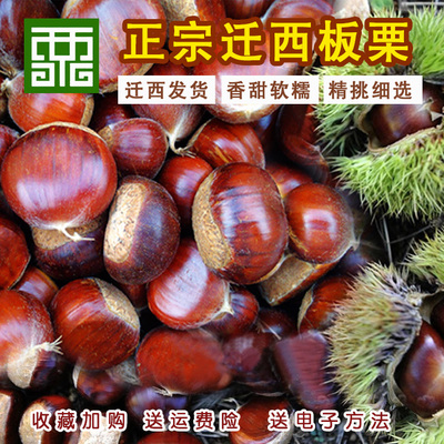 2025年正宗迁西板栗生新鲜带壳栗子燕山农家唐山特产零食老树栗包