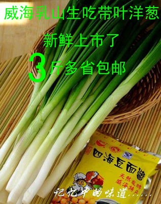 山东威海新鲜蔬菜大葱