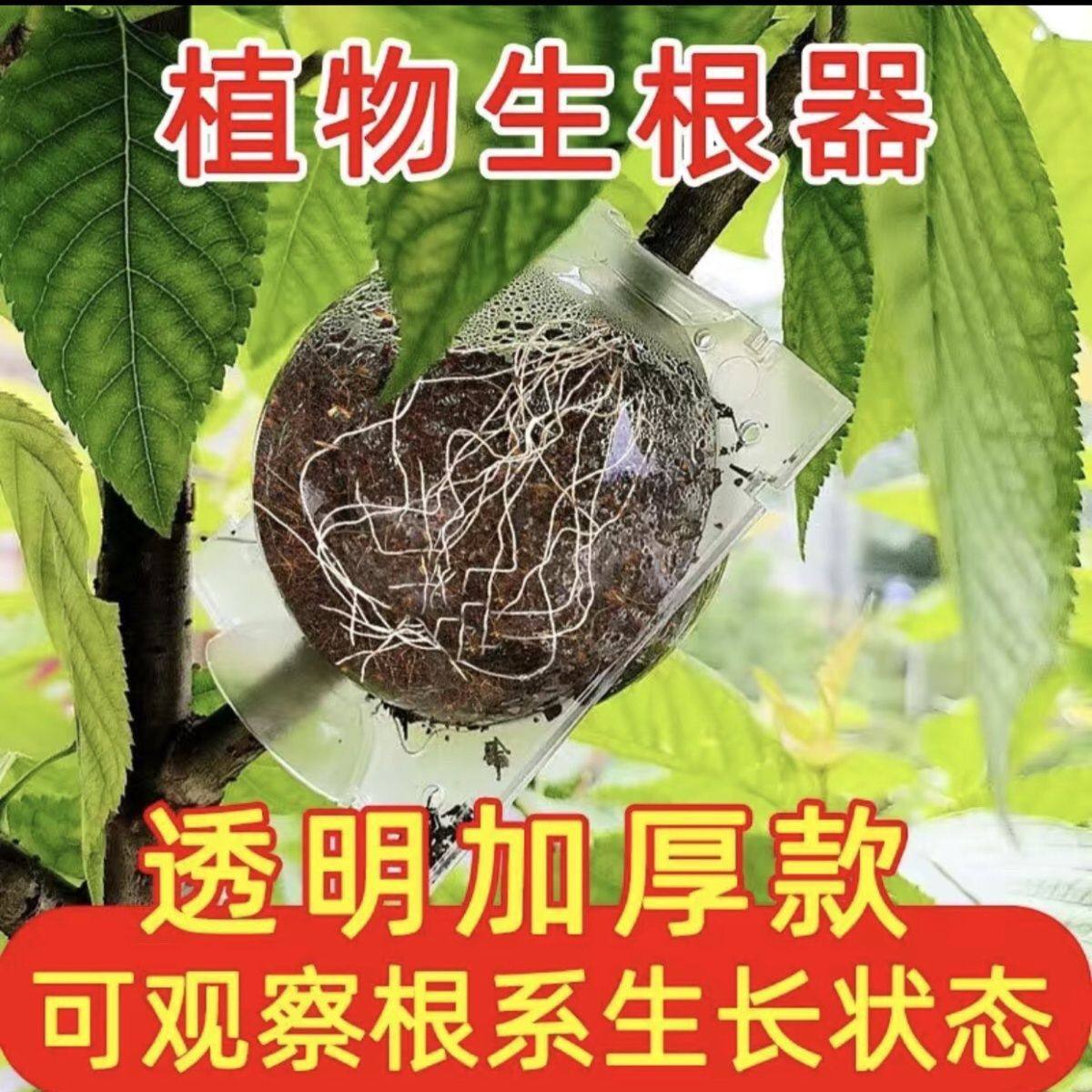 植物高压繁殖盒果树嫁接花卉生根移植繁育球花木生根器扦插园艺盒