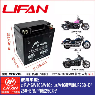 6MF10L钱江凯威QJ250雅马哈天王XV250力帆V16电瓶蓄电池YB10L-A2