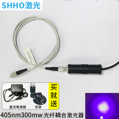 405nm光纤激光模组200um可定制