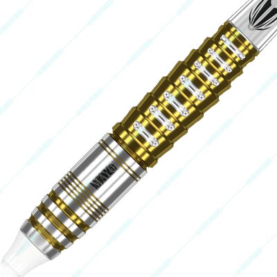 专业飞镖TARGET女士软式钨钢