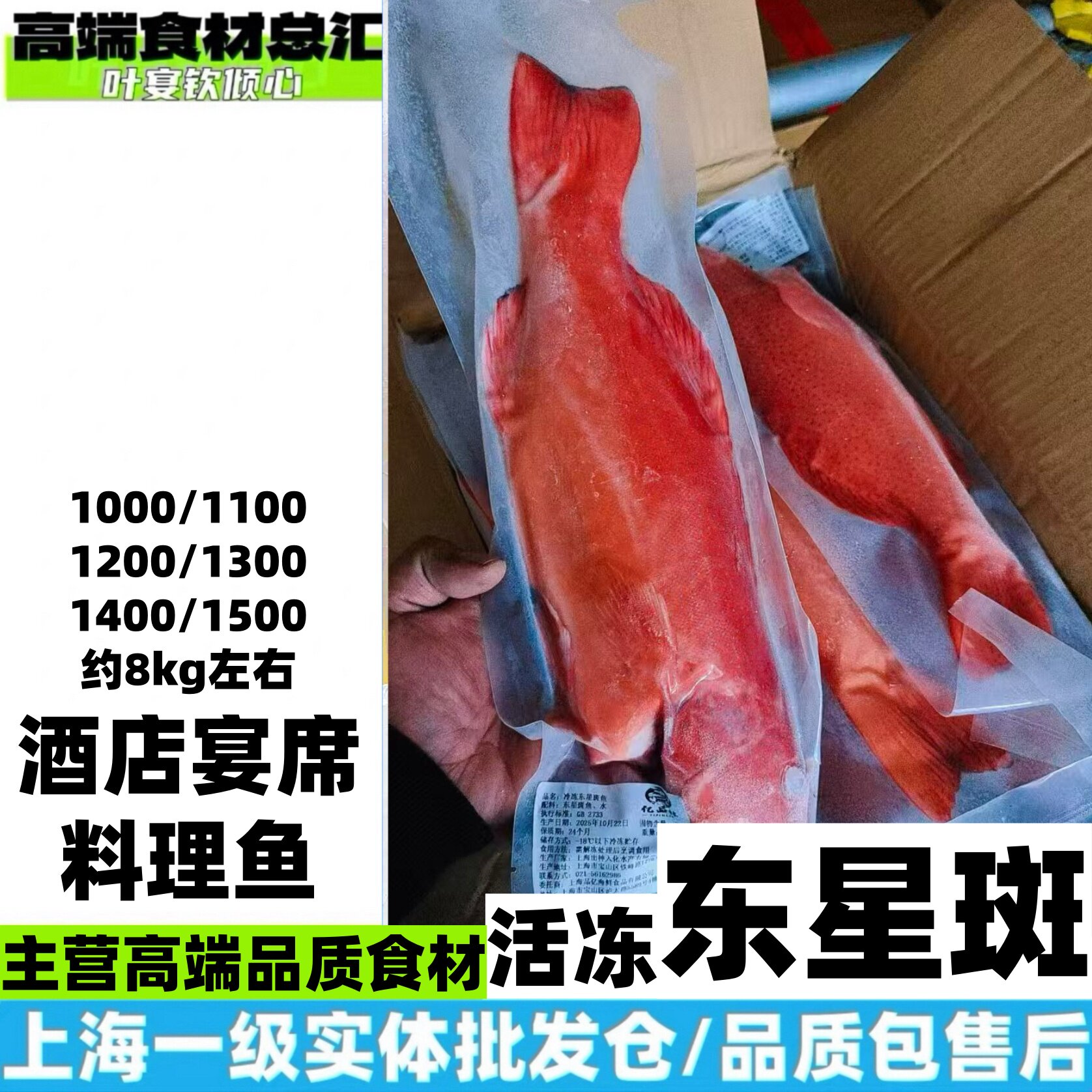 新鲜活冻东星斑鱼酒店宴席鱼料理鱼食材整件优惠规格可选冻鱼批发