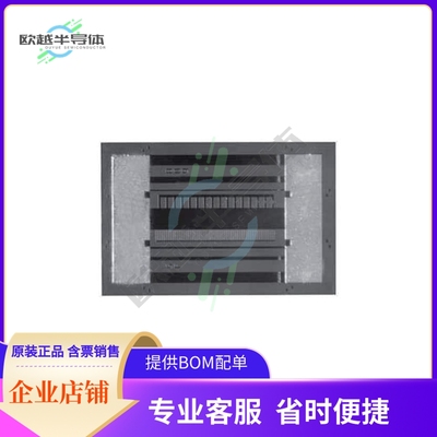 PWA1000AFKGNHT5【POWER RESISTOR, 0503, 100 OHM, 1】