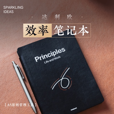 达利欧效率商务笔记本