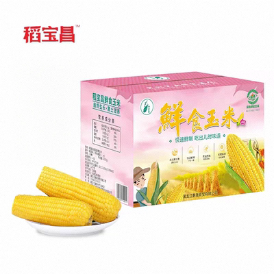 稻宝昌鲜食玉米10根东北黄糯玉米速食早餐甜糯粘玉米棒代餐粗粮