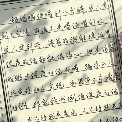 字帖成人行楷练字行书