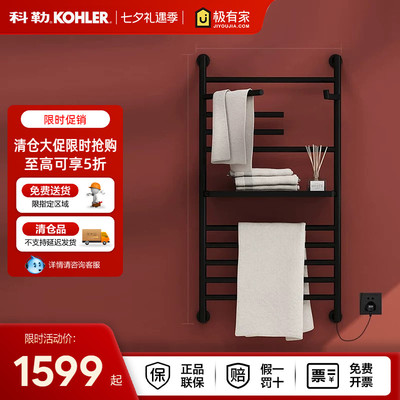 科勒电热毛巾架壁挂式