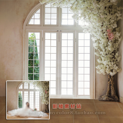 mycolor8 PS 婚纱 影楼摄影背景 韩式背景 婚庆 素材图片18-237
