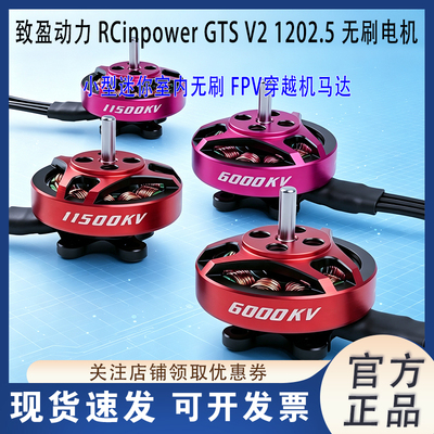 致盈动力GTSv21202.5迷你电机