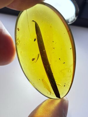 素缘缅甸天然虫珀吊坠0327琥珀带植物叶子标本化石原矿坠子