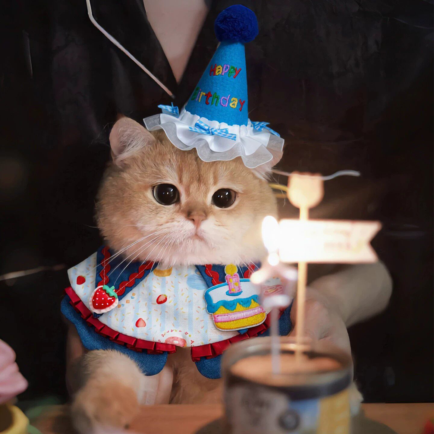 宠物猫咪生日装扮围脖帽子套装狗狗泰迪比熊口水巾围兜拍照道具