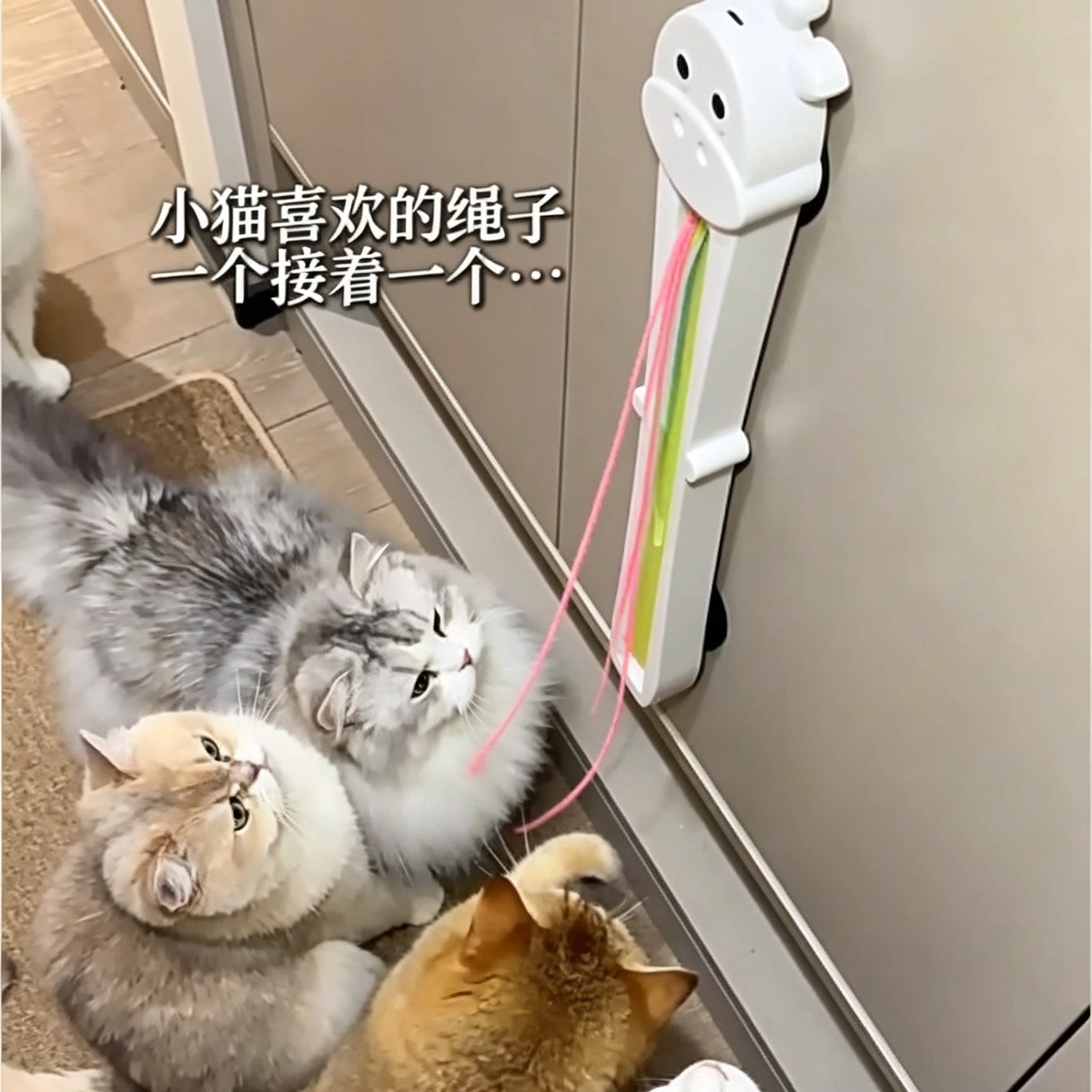 充电智能甩绳逗猫棒贴墙猫咪滚绳机模仿捕猎自嗨解闷宠物猫咪玩具