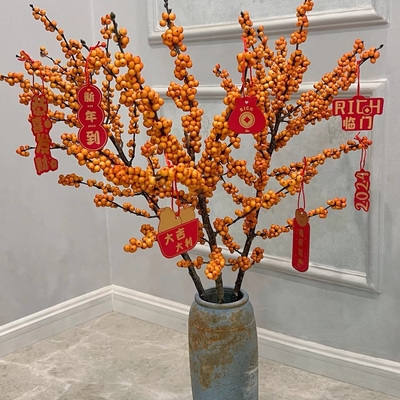 一件代发北美冬青橙色果子年宵花黄金万两办公室爱马仕橙色送礼