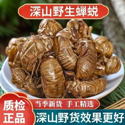 正宗野生蝉蜕中药材500g正品金蝉衣知了皮知了壳虫退蝉退壳粉
